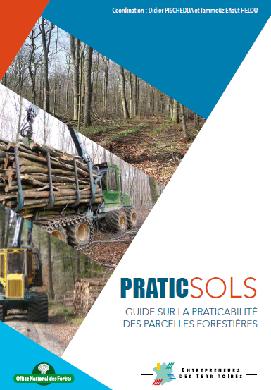 Les sols forestiers : mieux les connaître pour mieux les préserver