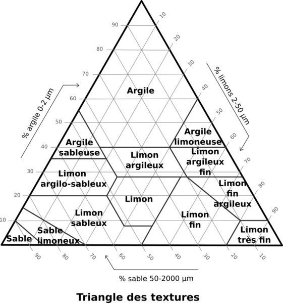 Les sols forestiers : mieux les connaître pour mieux les préserver